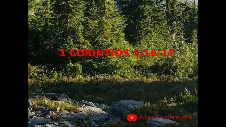 Corintios 3:16-17 en la Biblia Católica: Significado y Reflexiones ...