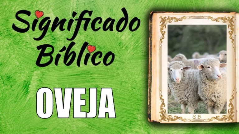 ¿Qué es una oveja según la Biblia? Significado y simbolismo en las ...
